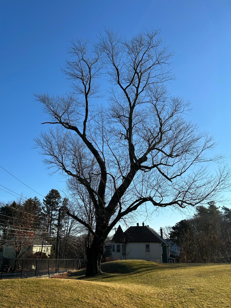 Dedham Then and Now | Dedham Tales